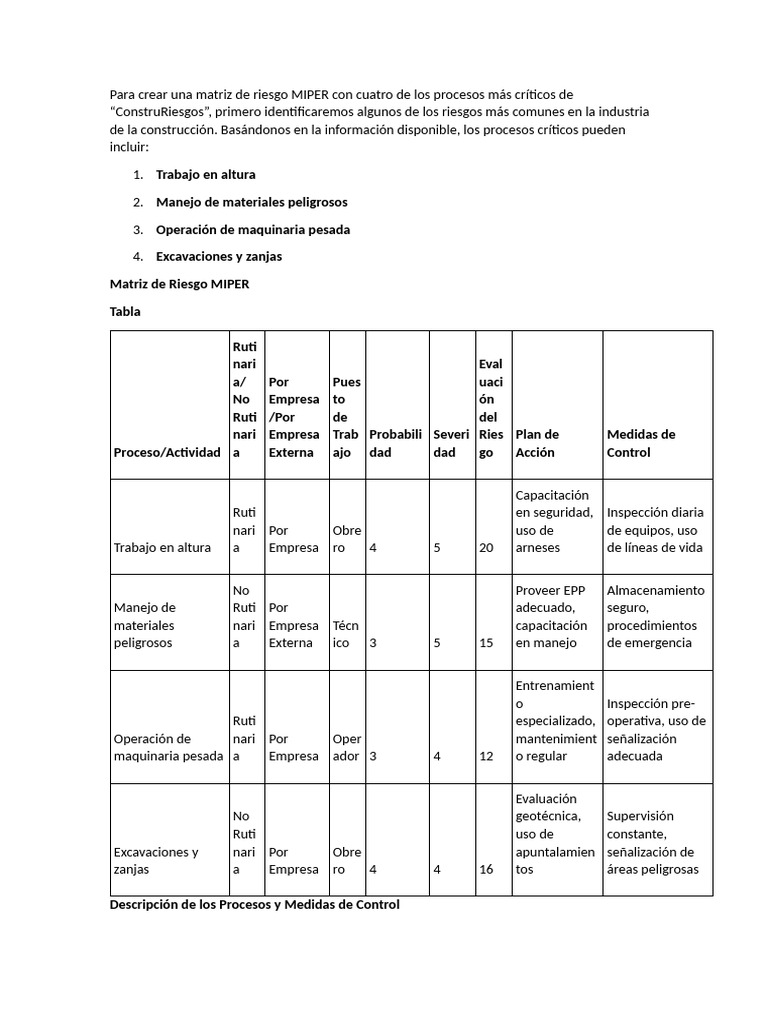 Para Crear Una Matriz de Riesgo MIPER Con Cuatro de Los Procesos Más Críticos de | PDF ...