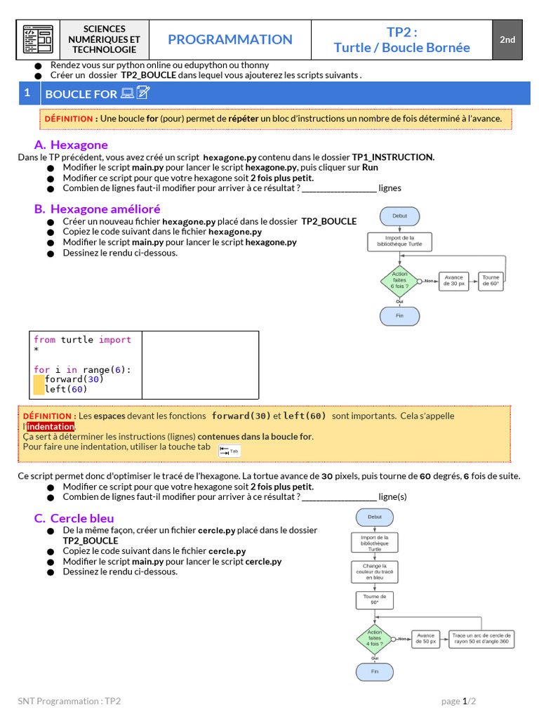 Louis Djorogo - TP2 Turtle Boucle Bornée | PDF