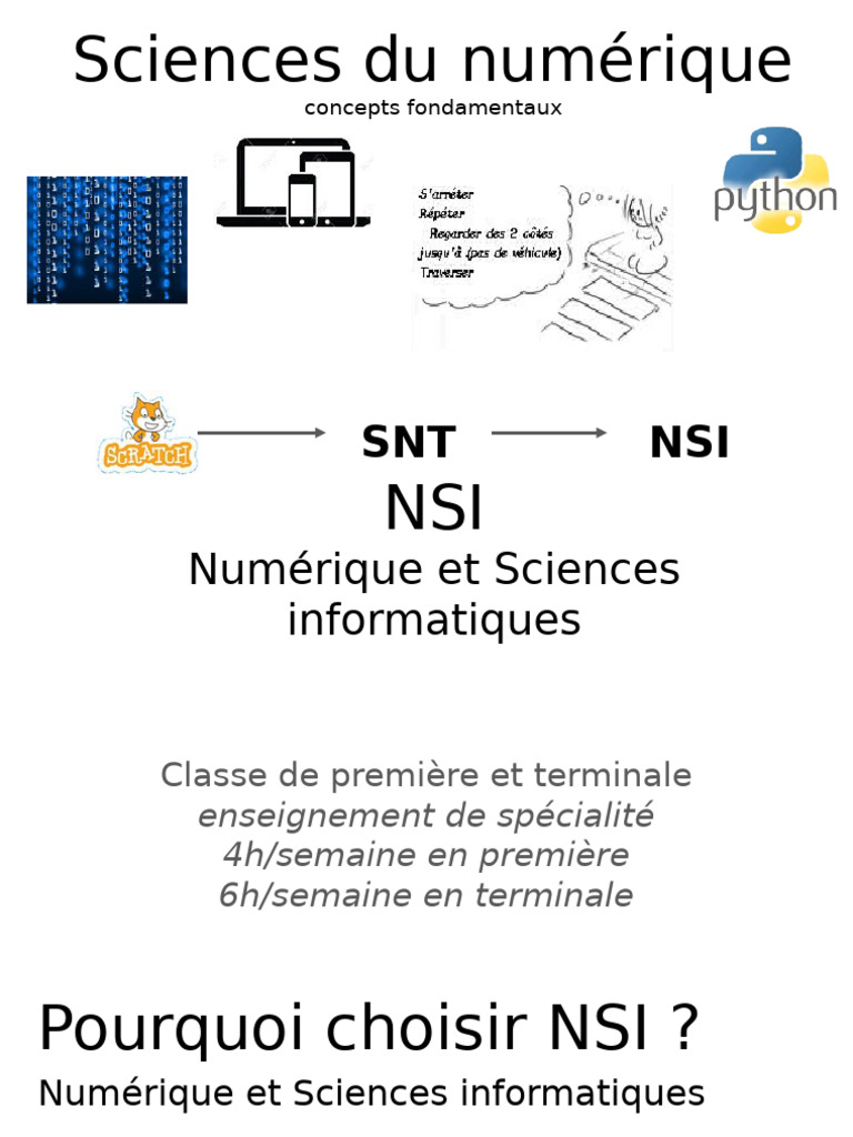 Presentation NSI - Parents 2024 | PDF