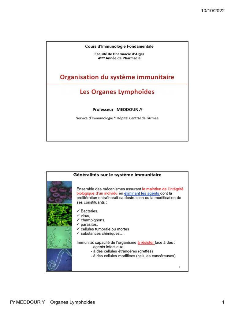 2-Organes Lymphoides PR MEDDOUR | PDF