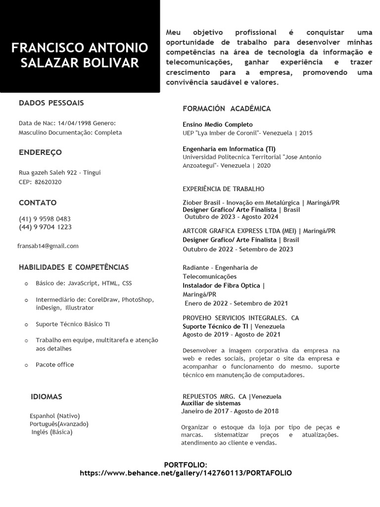 Curriculum Informatica | PDF