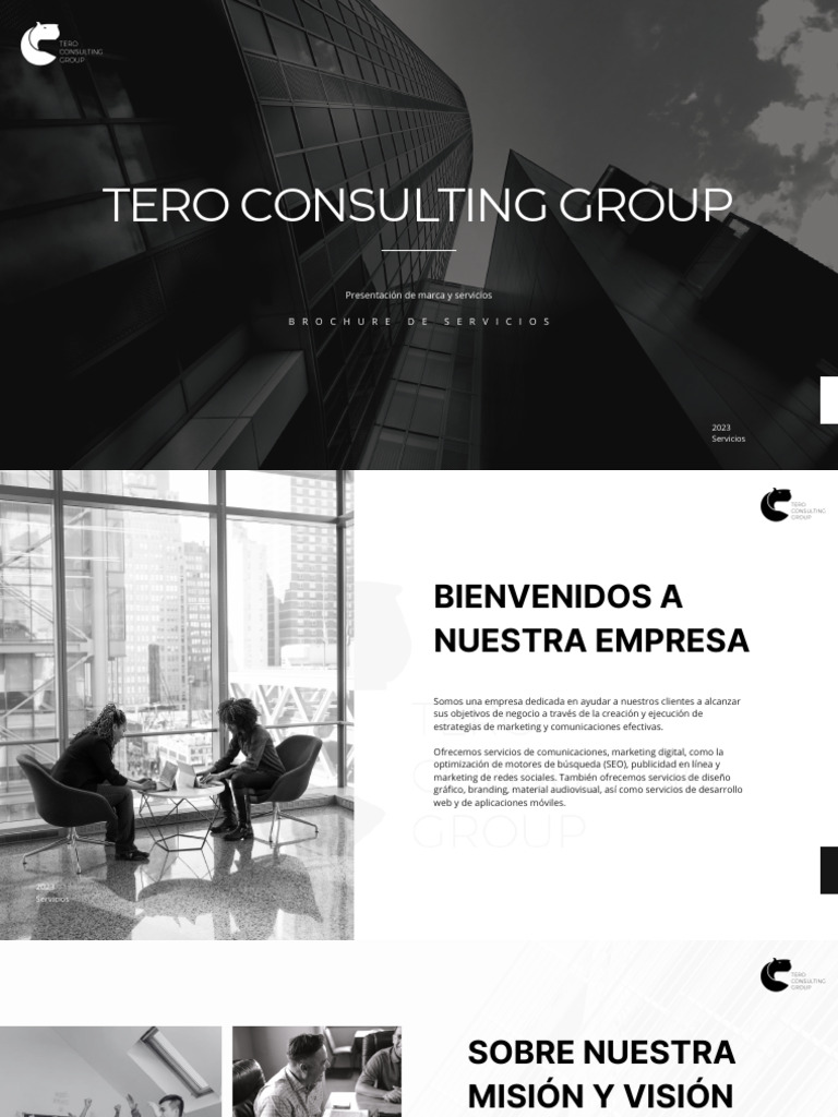 Tero Consulting Group - Servicios | PDF