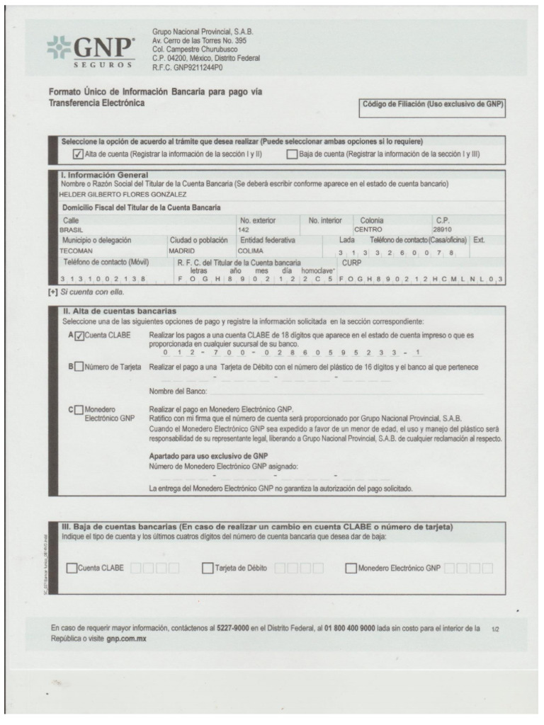 Formato Unico de Informacion Bancaria | PDF