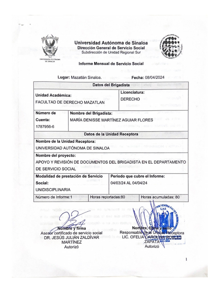 Reporte Mensual 1 | PDF