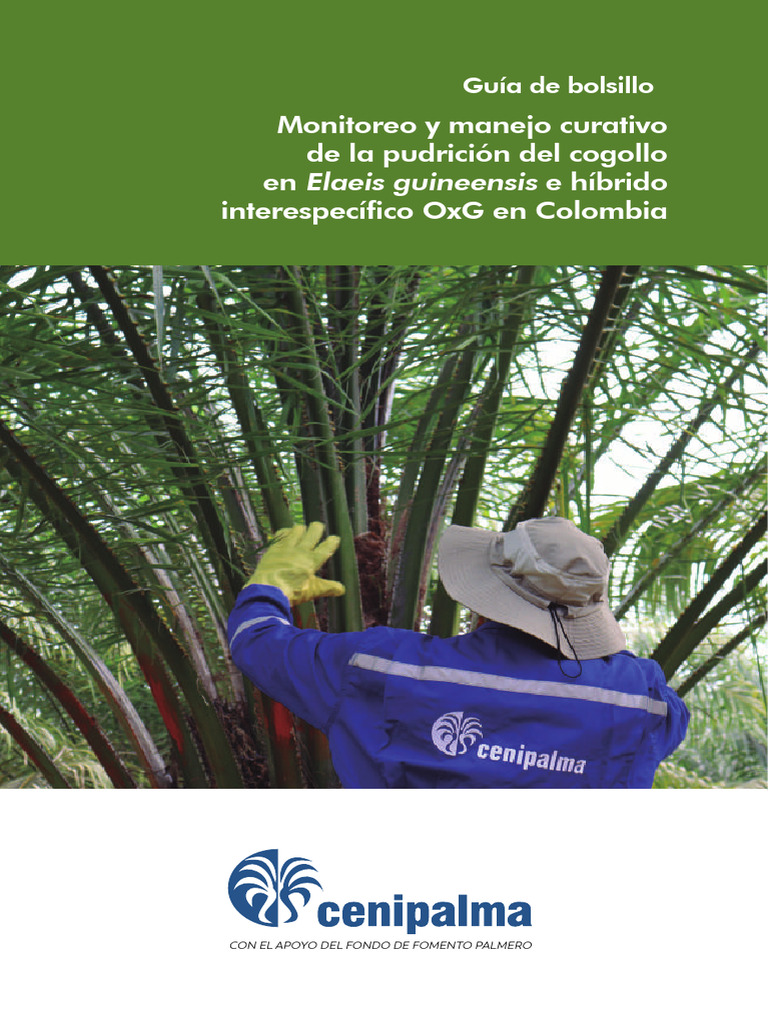 Manejo de Pudrición del Cogollo en Palma | PDF | Agua | Salud y bienestar