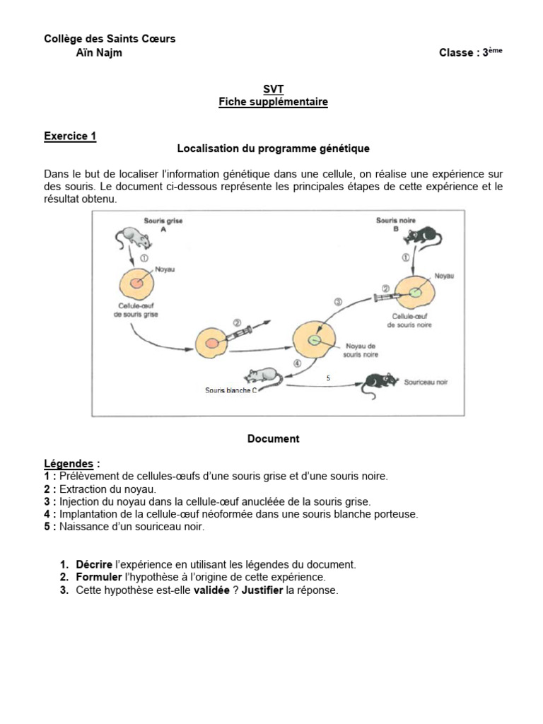 SVTFiche 3 Eme | PDF