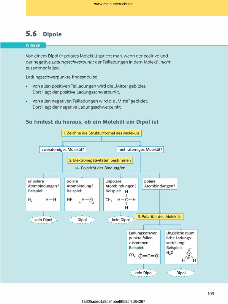 Station 2 - Dipole | PDF