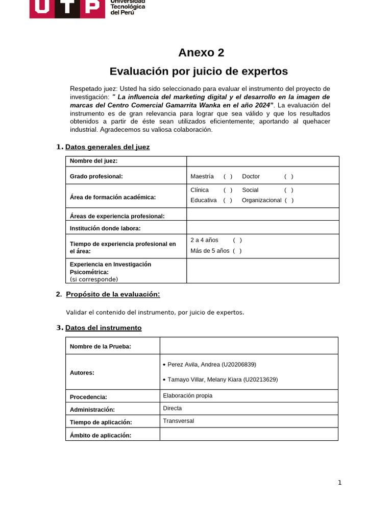 Formato de Juicio de Expertos - Perez | PDF
