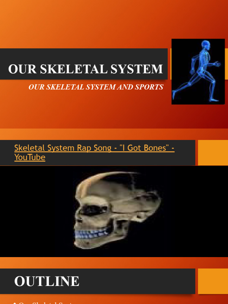 Our Skeletal System | PDF