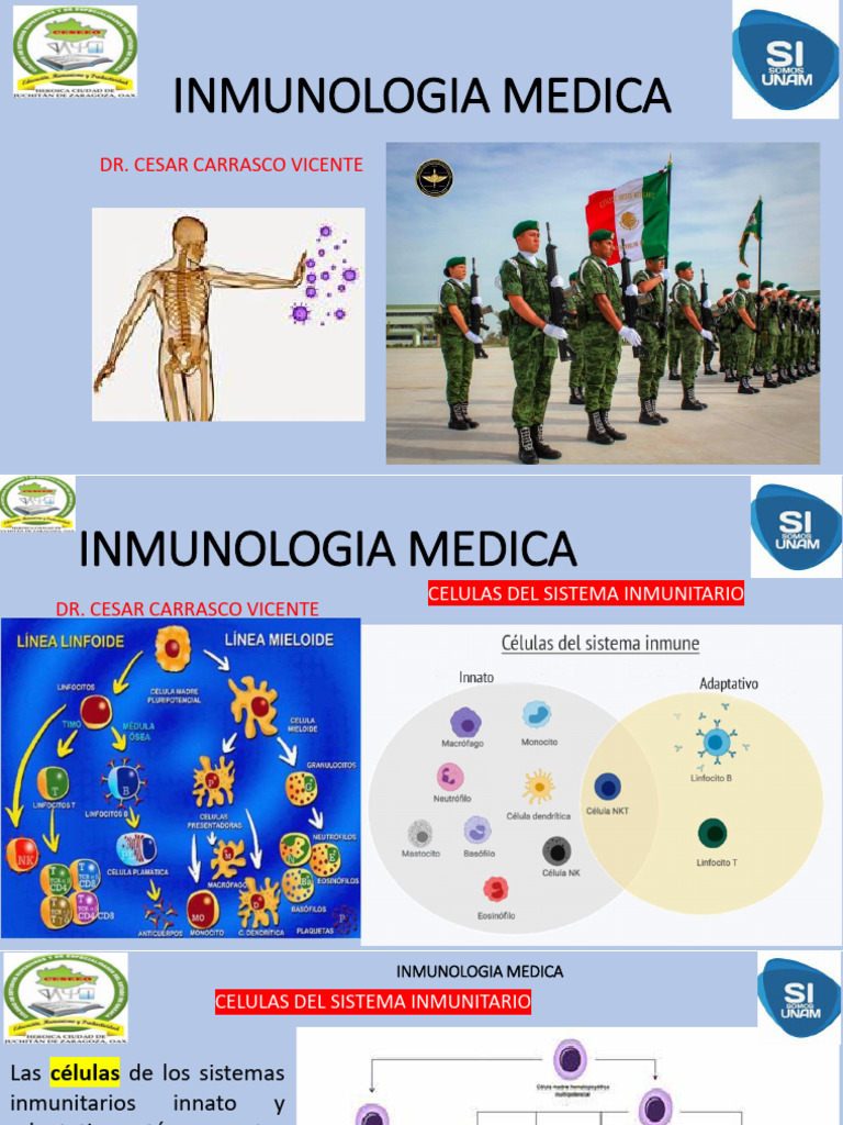 Celulas Del Sistema Inmunitario | PDF