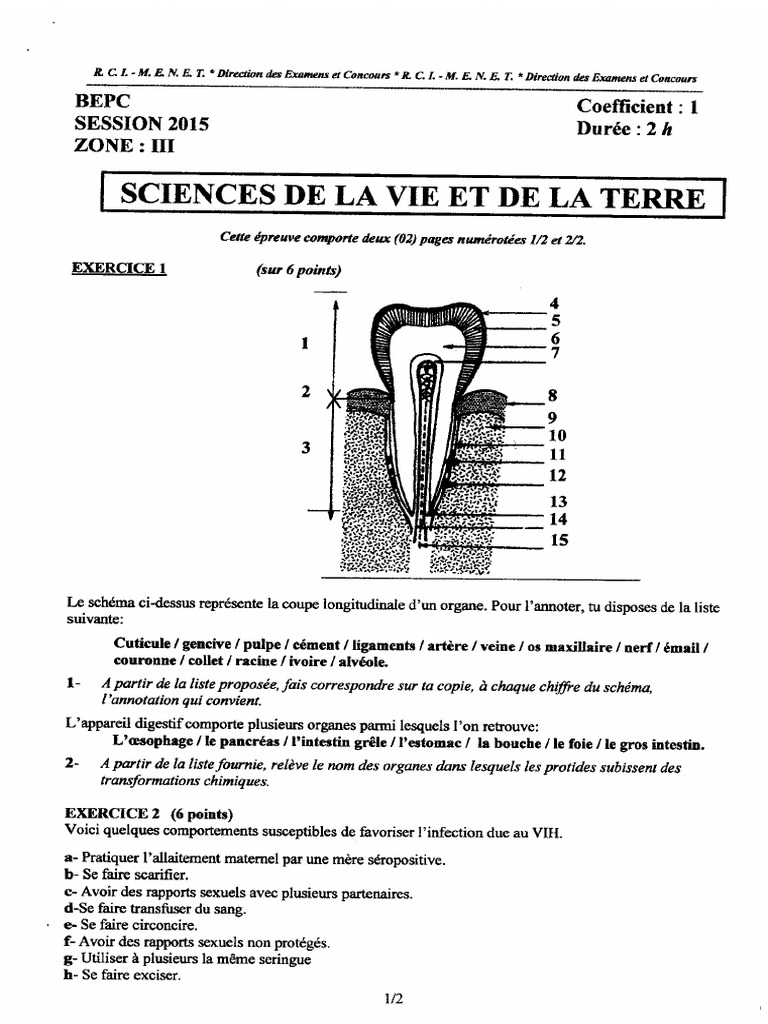 Bepc Z3 SVT 2015 | PDF