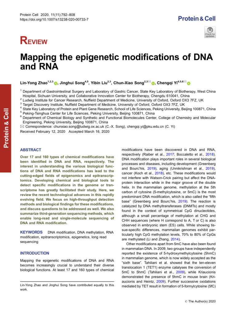 Mapping The Epigenetic Modifications of DNA (Yi, 2020) | PDF