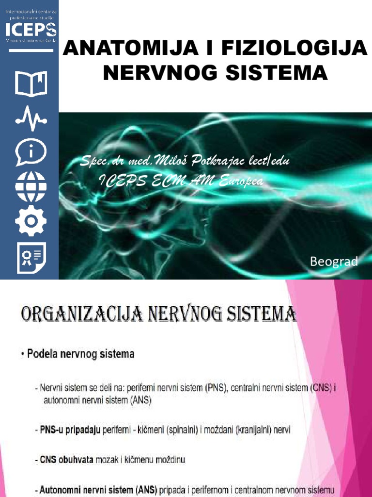 Anatomija I Fiziologija Nervnog Sistema DR Miloš Potkrajac | PDF