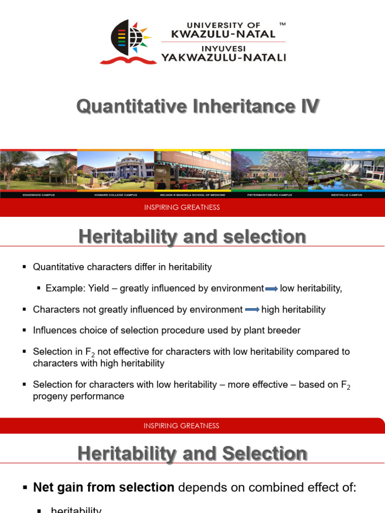 Quantitative Inheritance IV | PDF