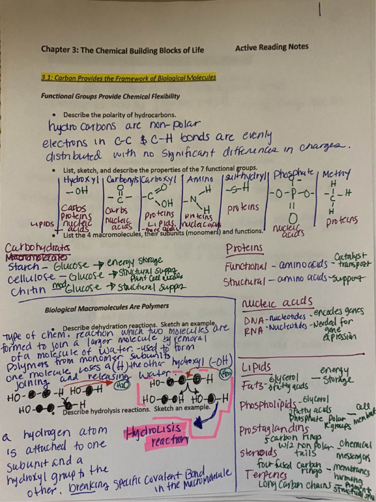 Ch3 Active Reading Notes - Michelle Valle | PDF