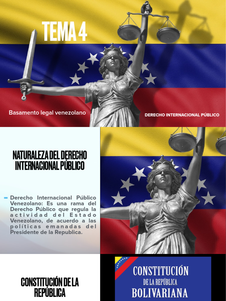 Tema 4 DIP Derecho | PDF