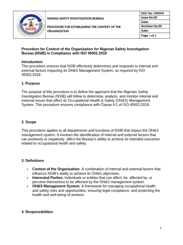Nsib Procedure For Context of The Organization | PDF