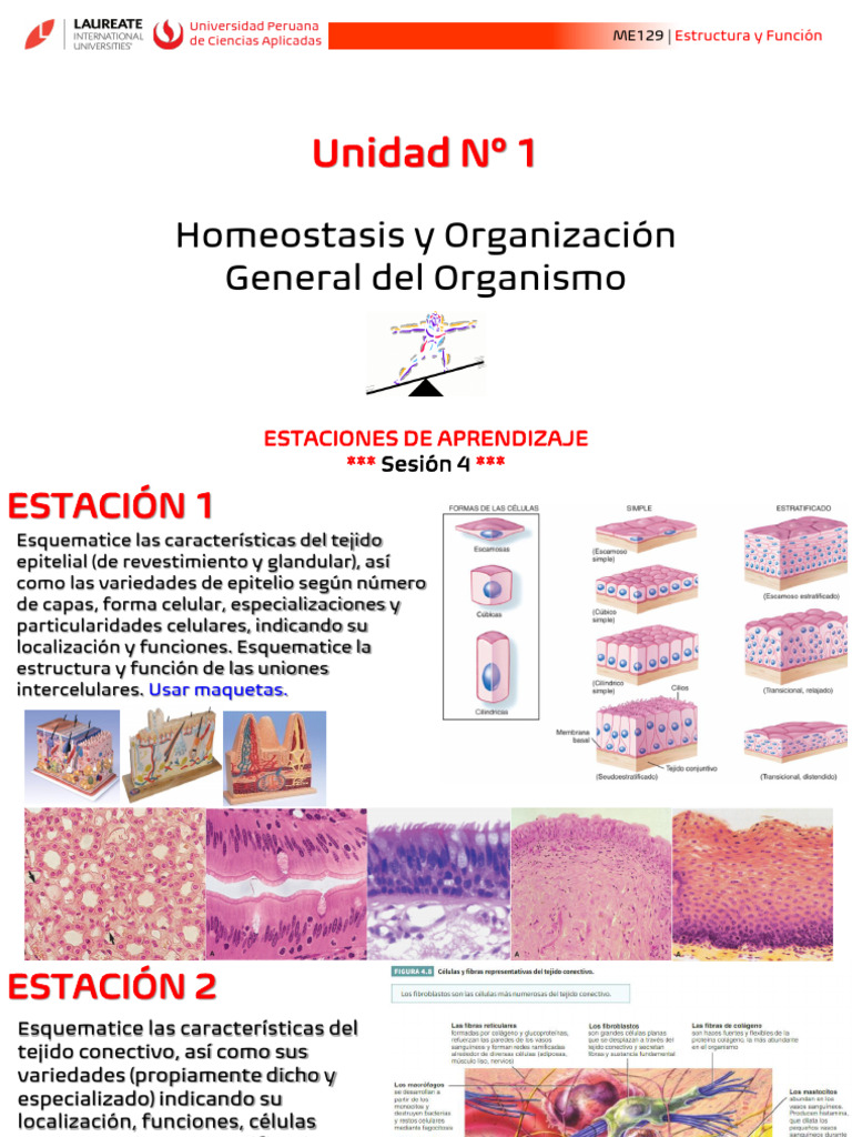 ME129 - Sesión 4 - Estaciones de Aprendizaje | PDF