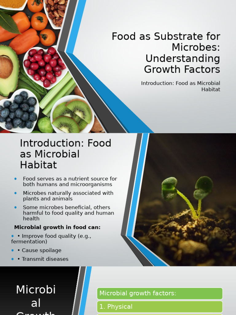 LESSON 1.1 - Food As Substrate For Microbes - Understanding Growth ...