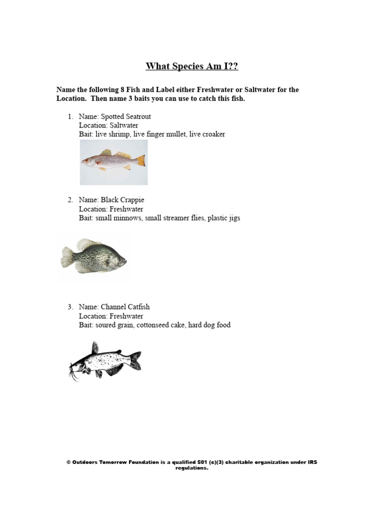 Fish Species Worksheet | PDF