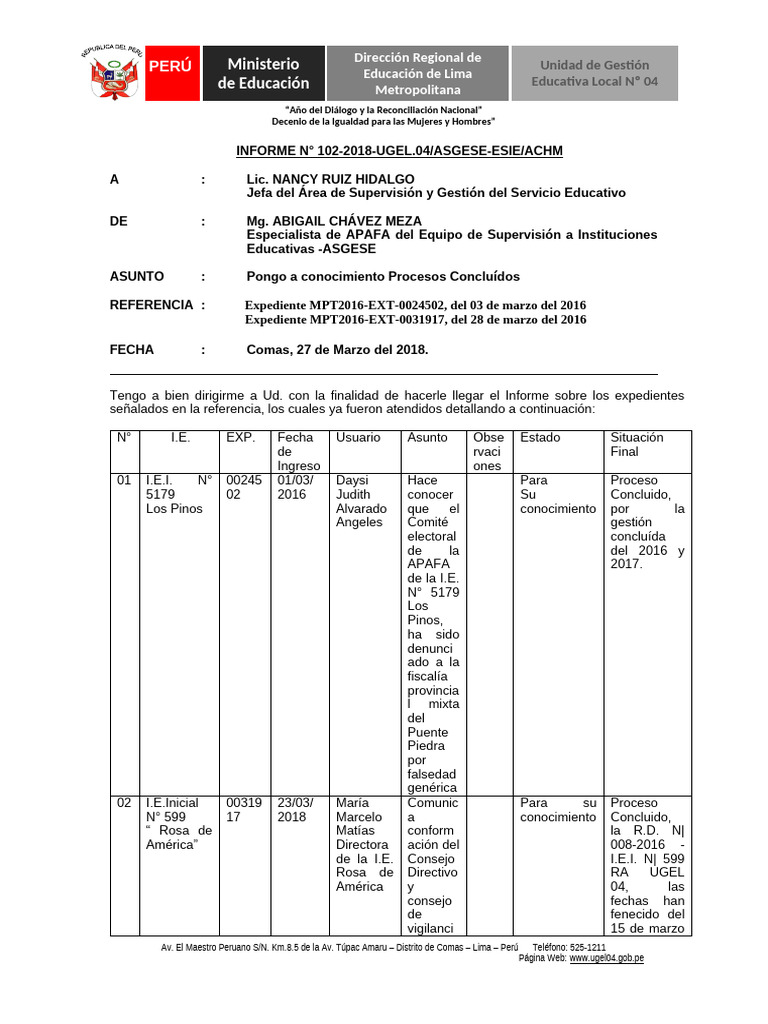 Archivo Informes Apafa | PDF