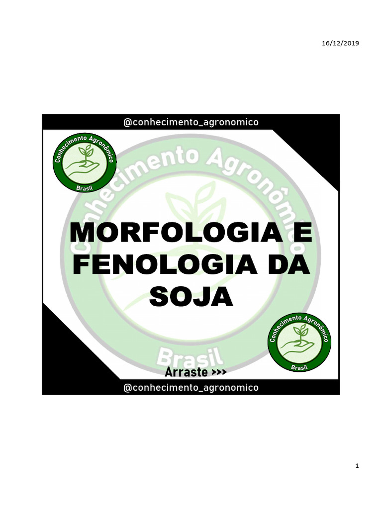 Conhecimento Agronômico - Morfologia e Fenologia Da Soja | PDF