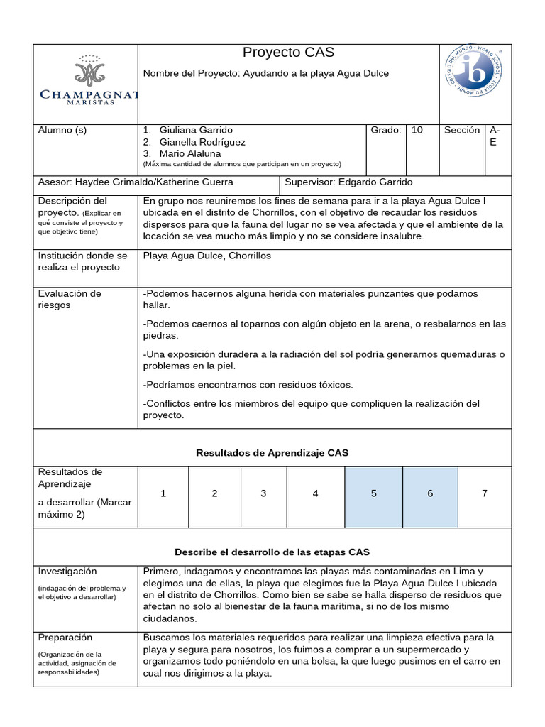 Primer Proyecto CAS 2023 | PDF