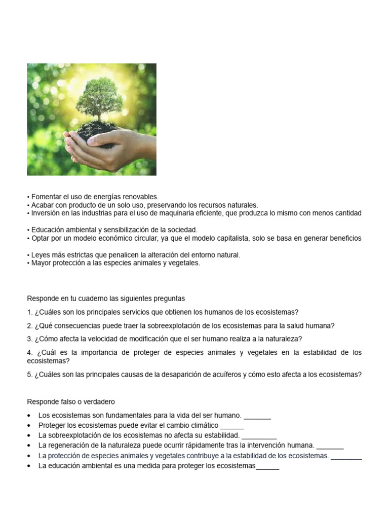 Importancia de Los Ecosistemas | PDF