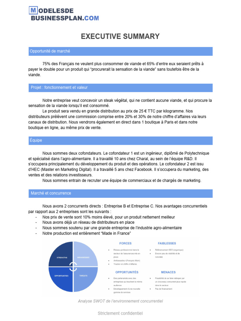 Executive Summary - EXEMPLE | PDF