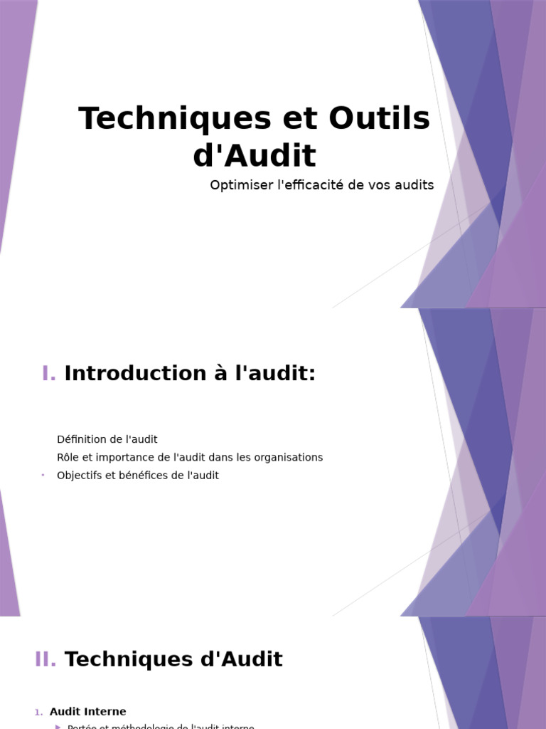 Techniques Et Outils D'audit | PDF