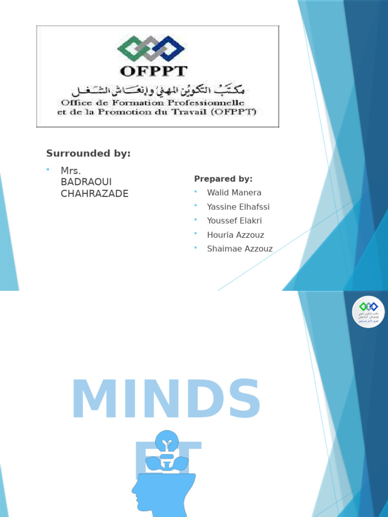 Mindset | PDF