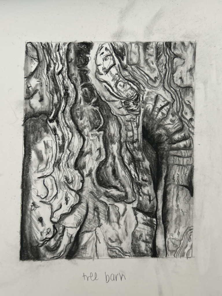 Texture Assignment 1 | PDF