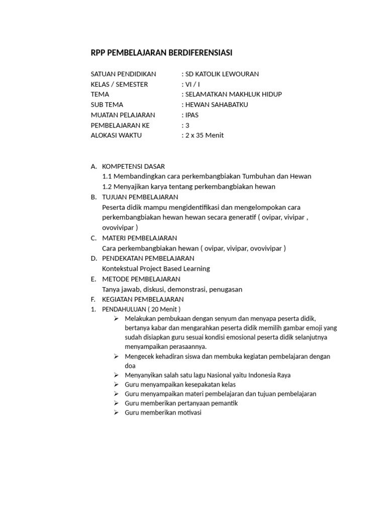 RPP Pembelajaran Berdiferensiasi | PDF