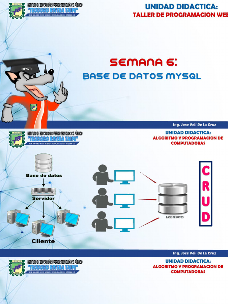 Taller de Programacion Web | PDF