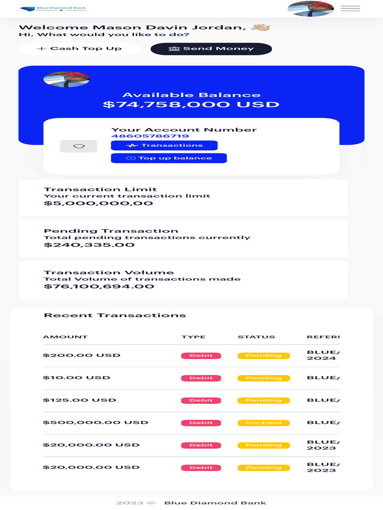 Blue Diamond Bank Account Overview | PDF