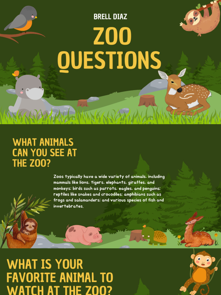 Zoo Questions | PDF