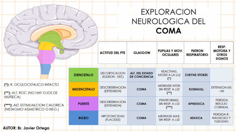 Exploracion Neurologica Del Coma | PDF