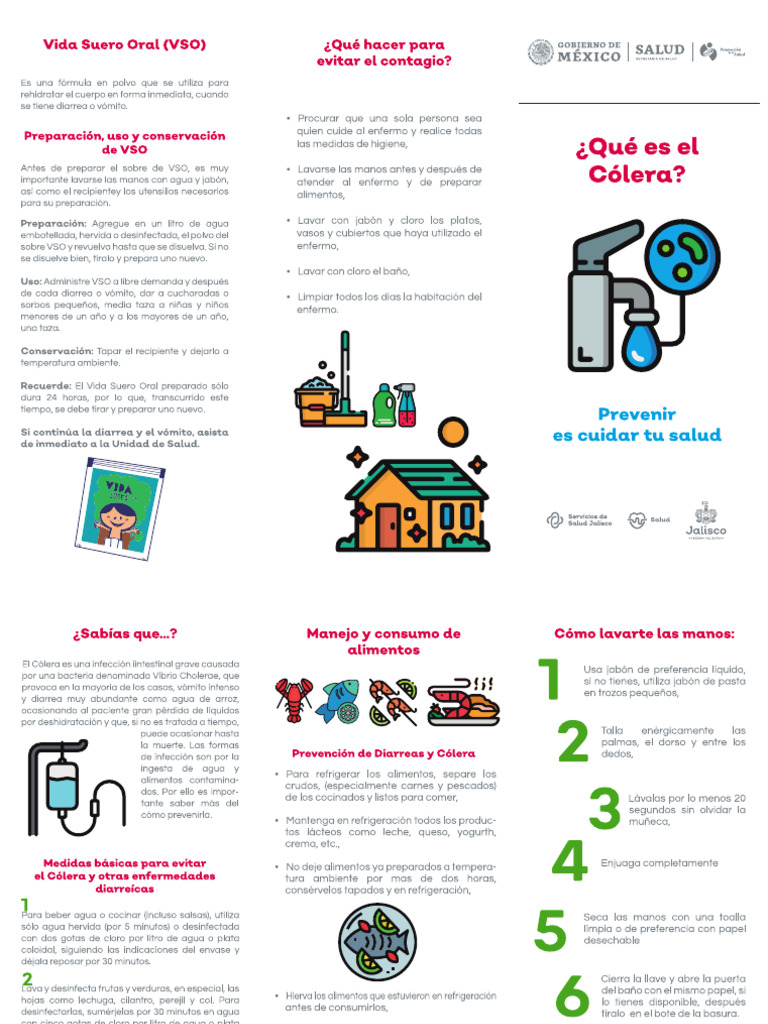 Triptico Colera Jal | PDF