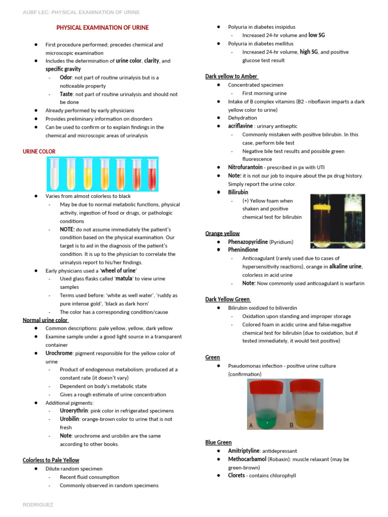 Physical Examination of Urine | PDF