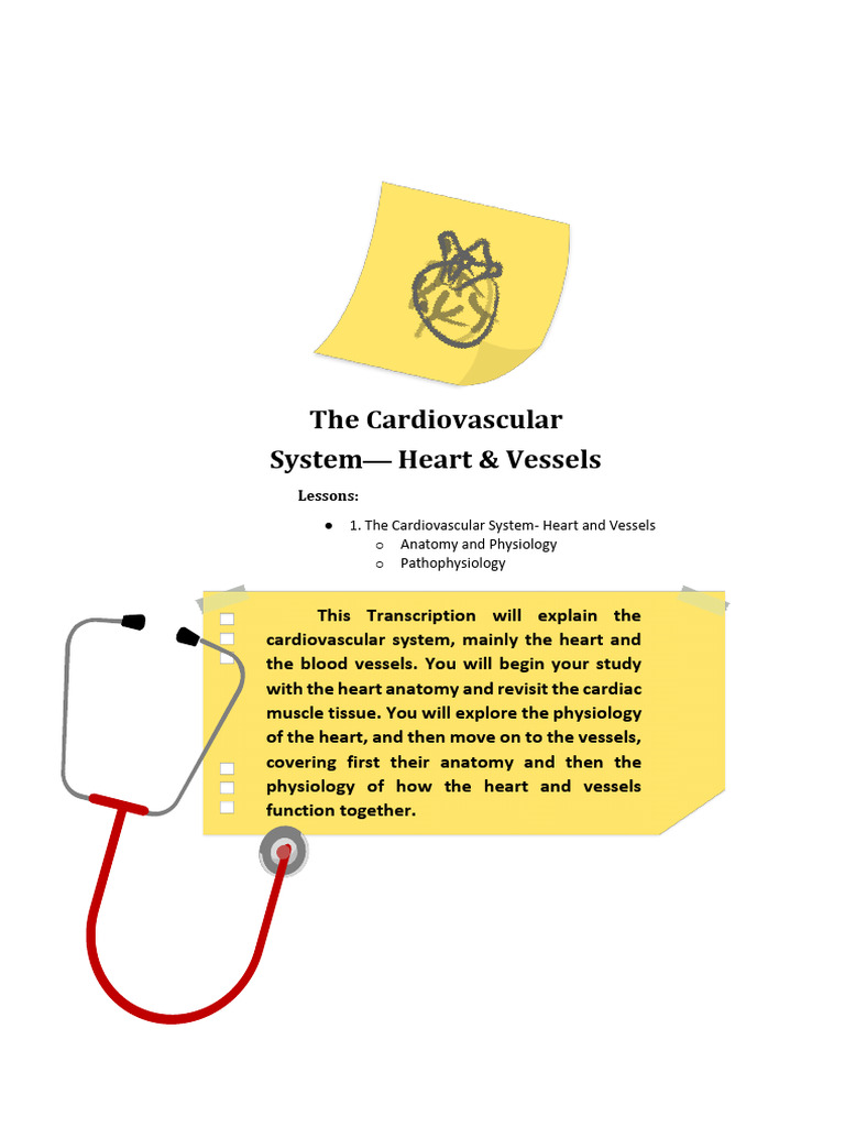 HAPP New Module Trans 7 | PDF