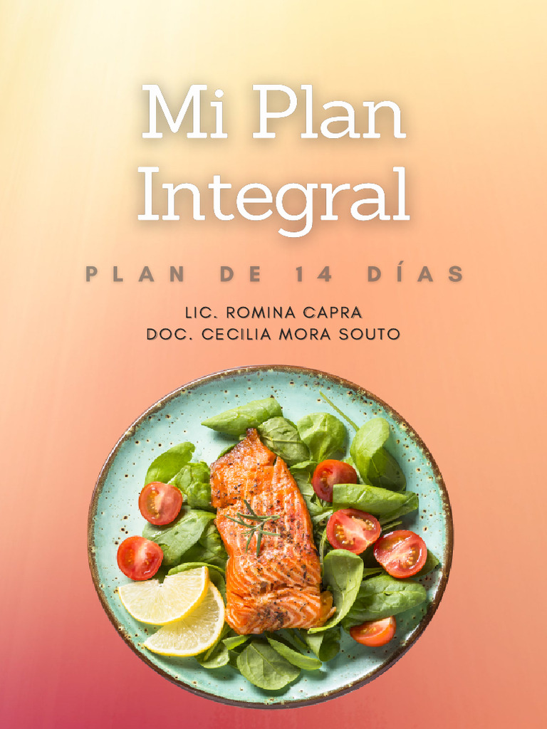 Plan Integral 14D | PDF