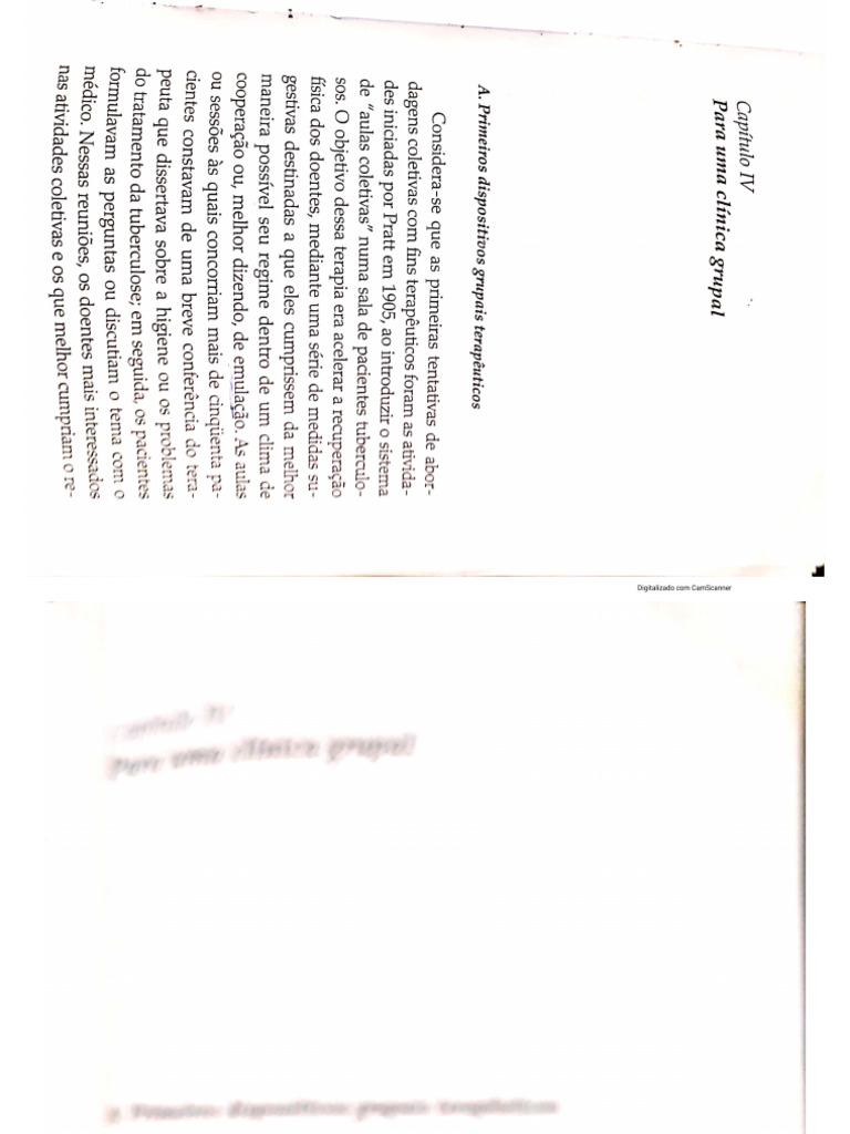 Campo Grupal Cap IV | PDF