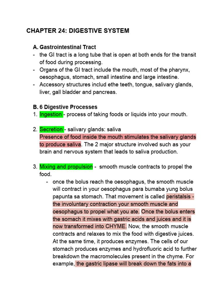 Chapter 24 - Digestive System | PDF