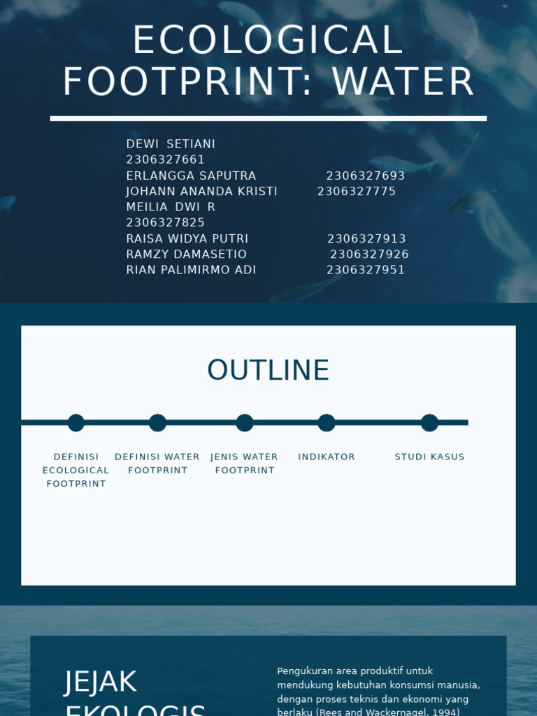 Ecological Footprint | PDF