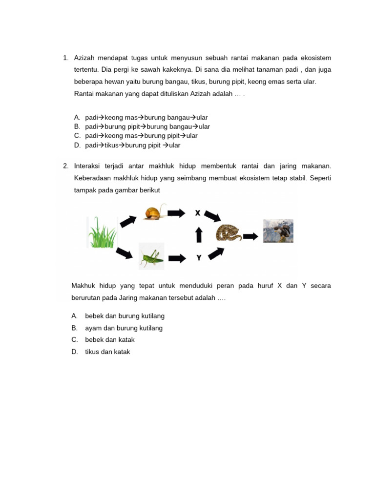Soal CBT Kabupaten Ipa | PDF