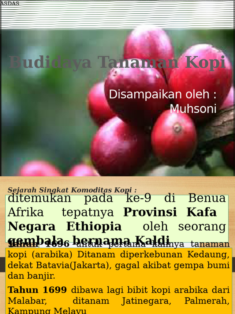 Budidaya Kopi - 6 Agustus 2024 | PDF