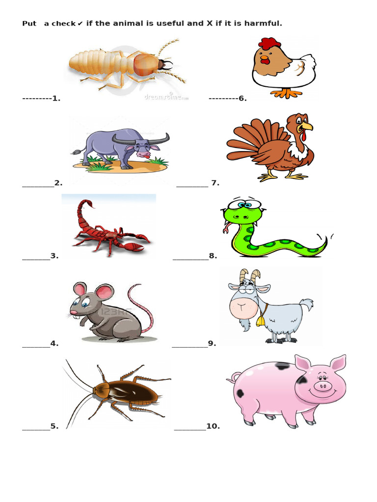 Harmful Useful Animals Exercises | PDF