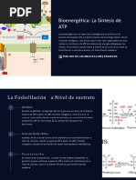Funciones y síntesis del ATP en células | PDF | Trifosfato de adenosina ...