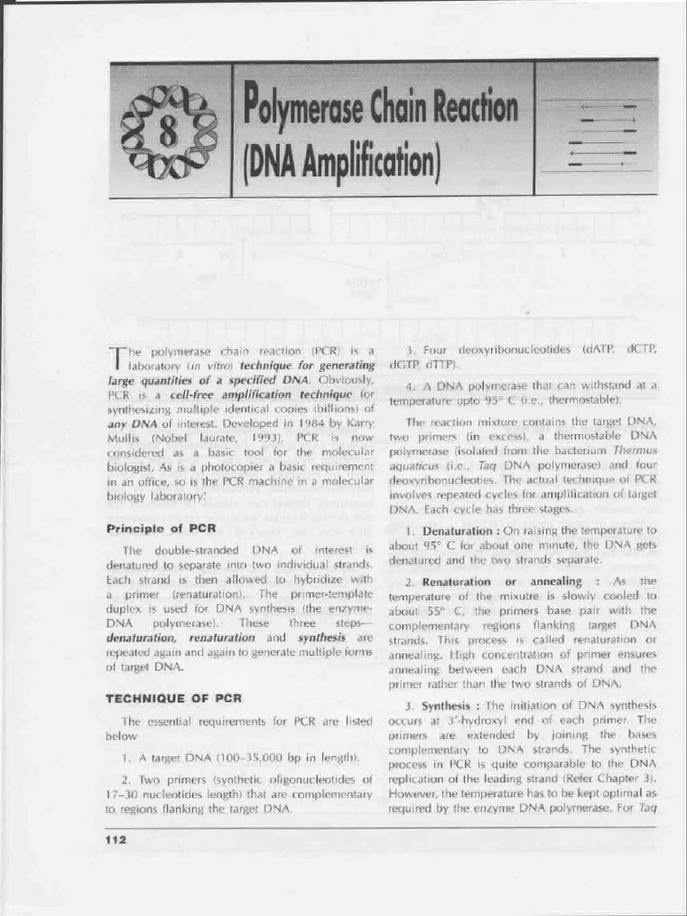 Understanding Polymerase Chain Reaction | PDF | Polymerase Chain ...