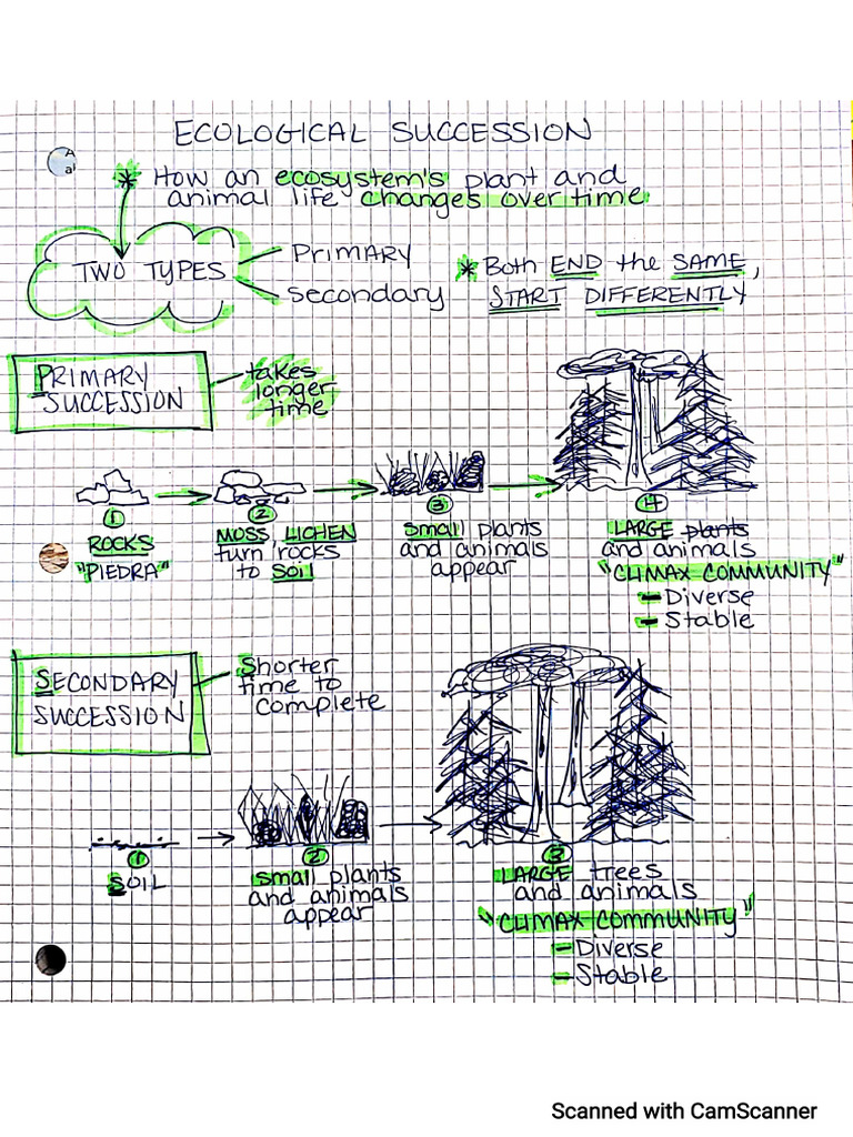 Eco Succession | PDF
